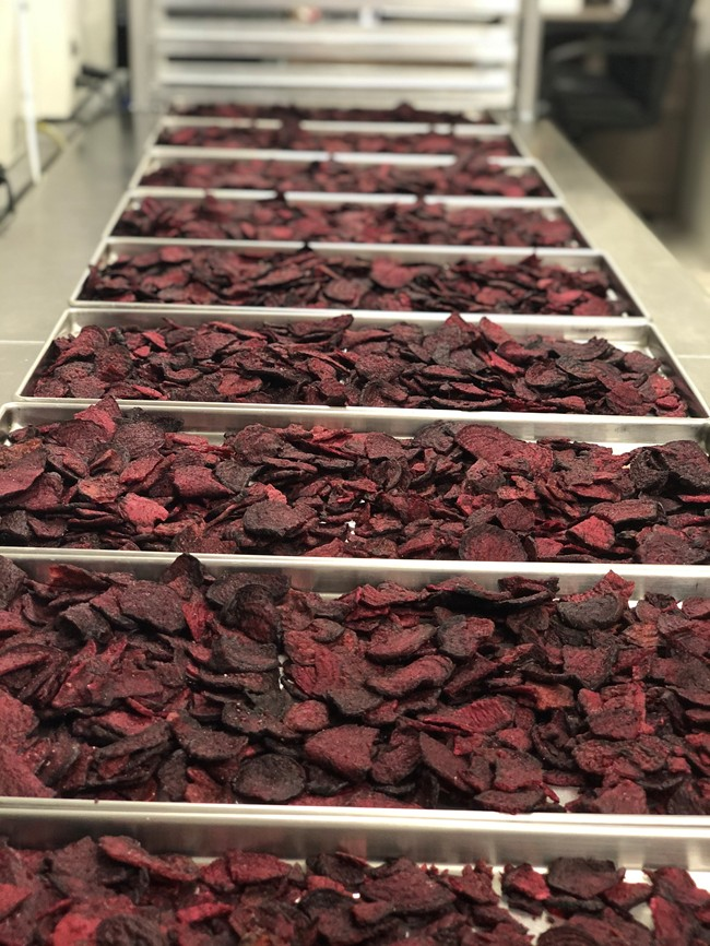 Freeze Dried Beet Chips – Freeze Dry Wholesalers