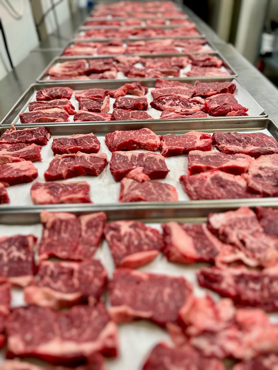 Dried Uncooked Boneless Beef Short Ribs – Freeze Dry Wholesalers