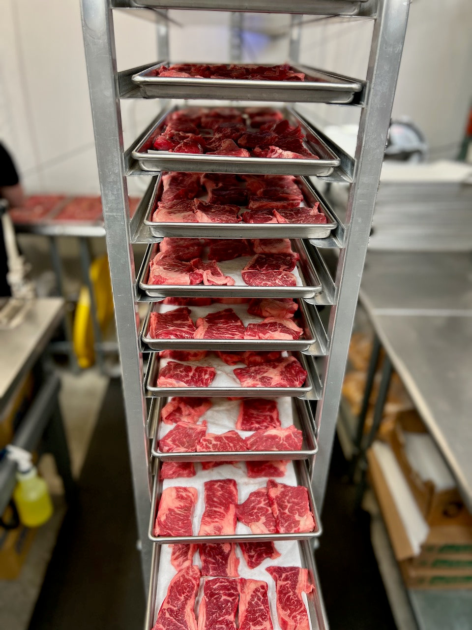 Dried Uncooked Boneless Beef Short Ribs – Freeze Dry Wholesalers