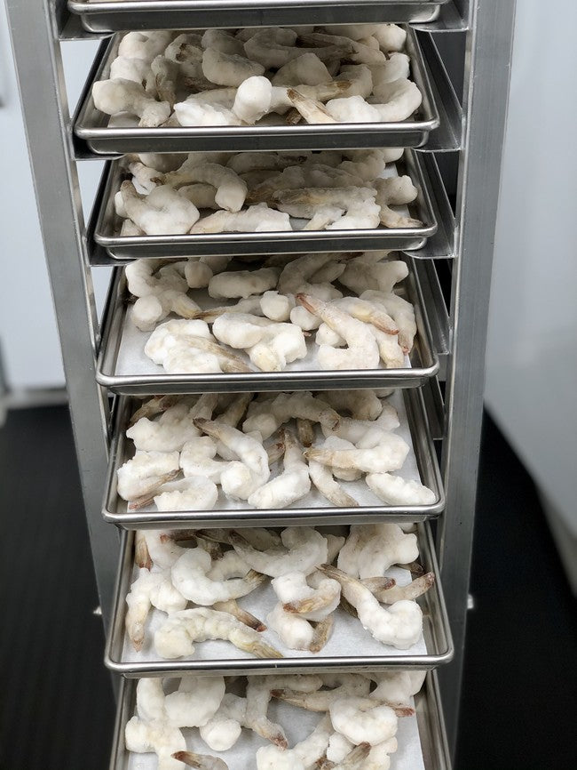 Freeze Dried Raw Peeled & Deveined Shrimp – Freeze Dry Wholesalers