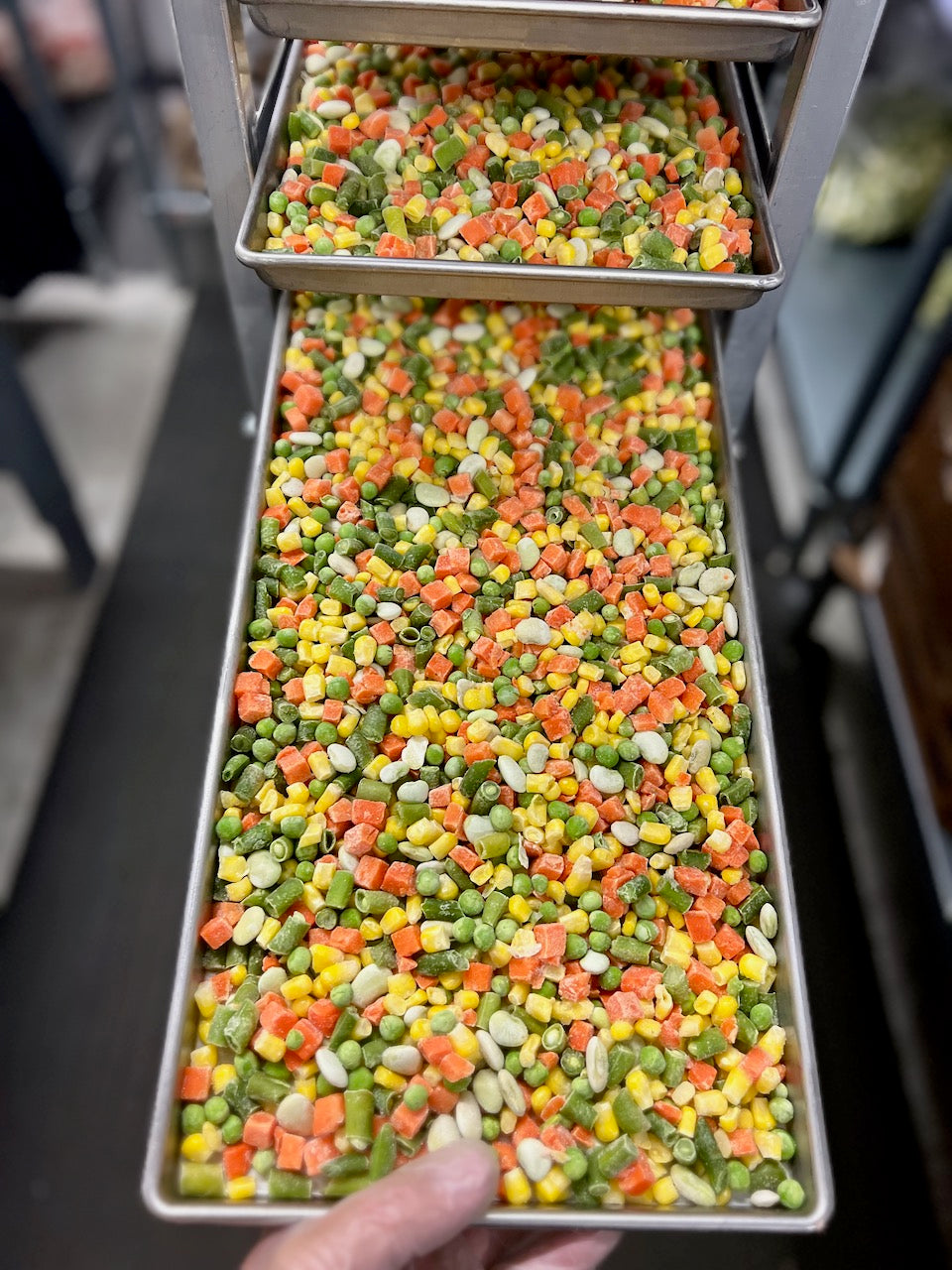 Freeze Dried Classic Mixed Vegetables – Freeze Dry Wholesalers