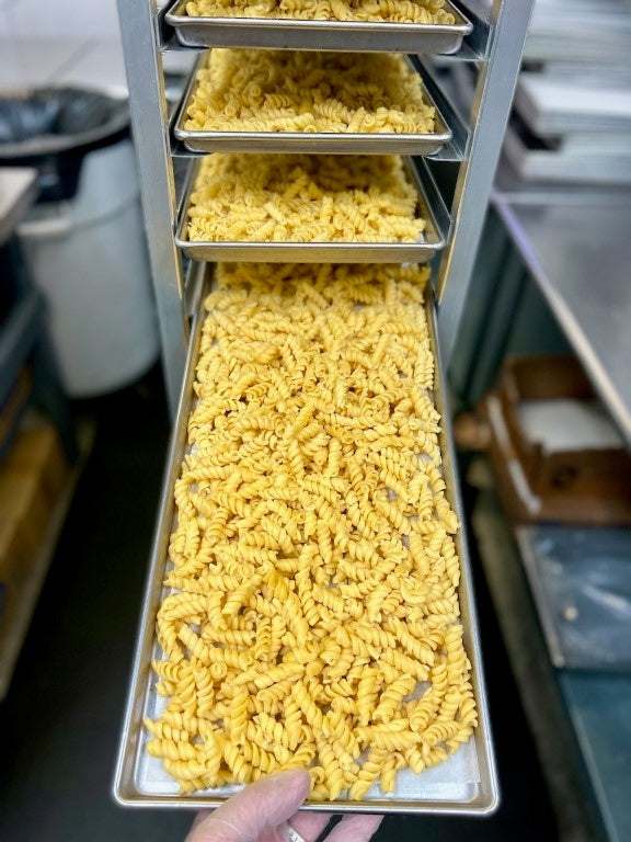 Freeze Dried Fully Cooked Rotini Pasta – Freeze Dry Wholesalers