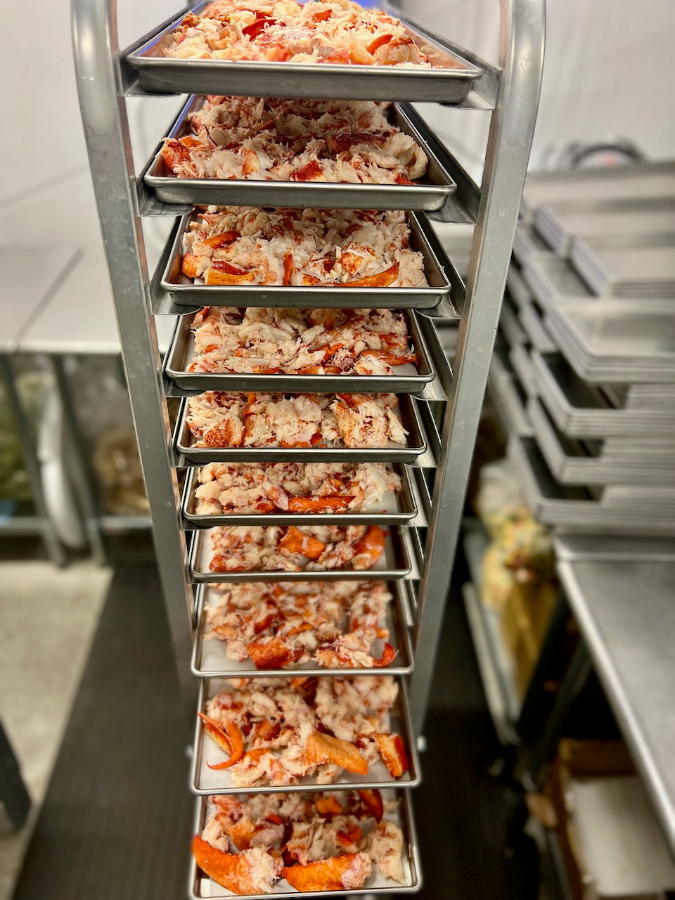 Pre-Sale Freeze Dried Fully Cooked Wild Caught Maine Lobster – Freeze ...