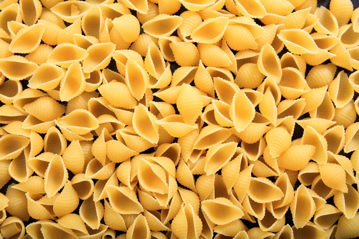 Freeze Dried Fully Cooked Pasta Shells – Freeze Dry Wholesalers